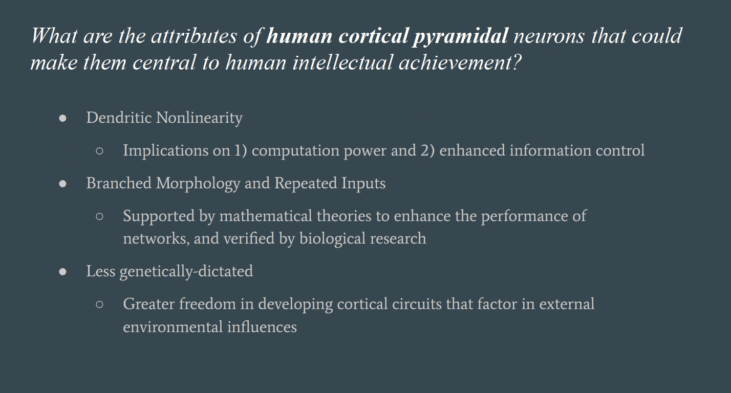 James Bole Pan 潘柏乐